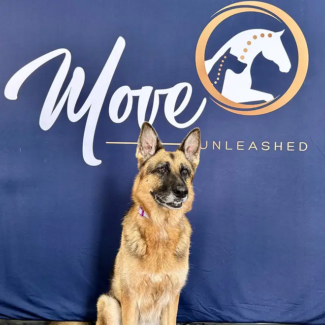 About Us | Move Unleashed