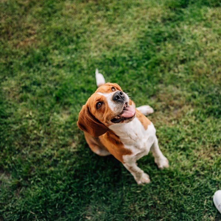 Contact Us | Move Unleashed